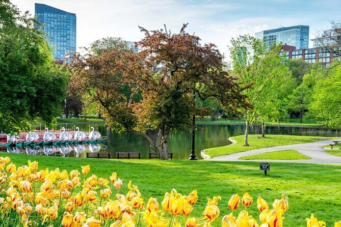 Classic Film and Television Locations Half Day Tour in Boston - Key Points