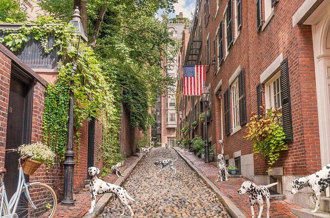 Classic Film and Television Locations Half Day Tour in Boston - Final Word