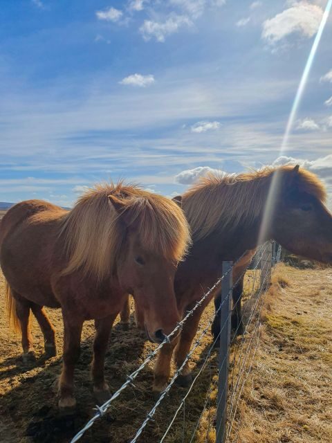 Classic Golden Circle - Full Day Private Tour from Reykjavik - Frequently Asked Questions