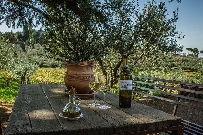 Classic Half-Day Wine Tour in Frascati Review - Exploring the Frascati Wine Region