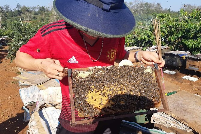 Classic Mekong Delta 1 Day Tour - Guide and Experience Quality