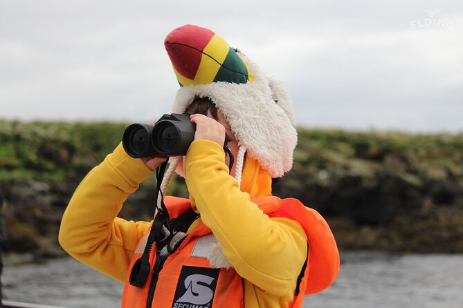 Classic Puffin Watching Cruise From Downtown Reykjavík - Customer Feedback and Recommendations