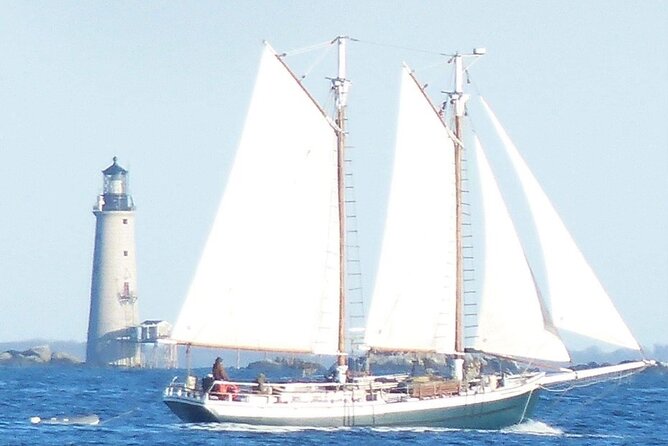 Classic Tall Ship Sightseeing Cruise of Boston Harbor - Final Thoughts