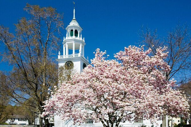 Classic Television and Sightseeing Locations 1 Day Tour in Boston - Key Points