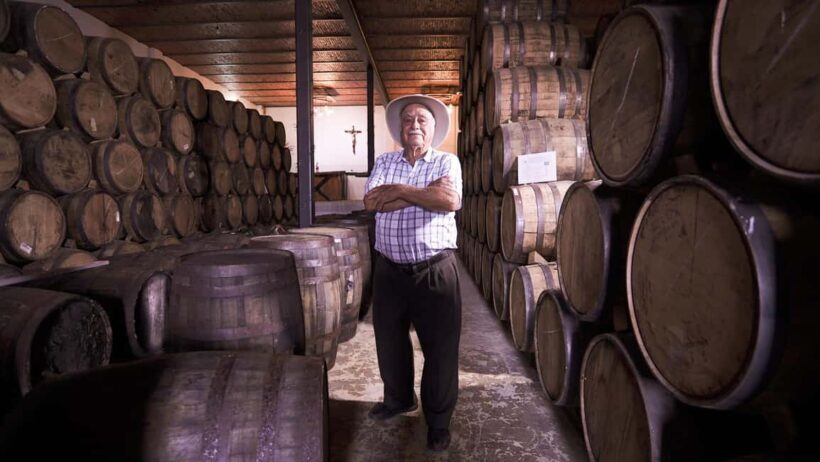 Classic Tequila Route Tour from Guadalajara and cantaritos el GÜERO!!! - Tasting the Spirit
