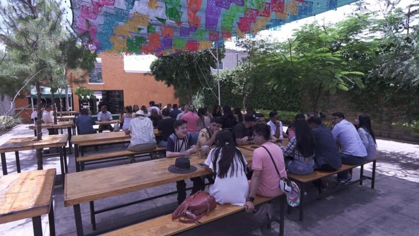 Classic Tequila Route Tour from Guadalajara and cantaritos el GÜERO!!! - Lunch in Tequila Town