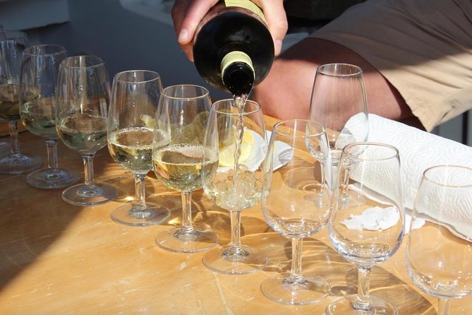 Classic Tour With Wine Tastings From Dubrovnik - Winemaker Encounters