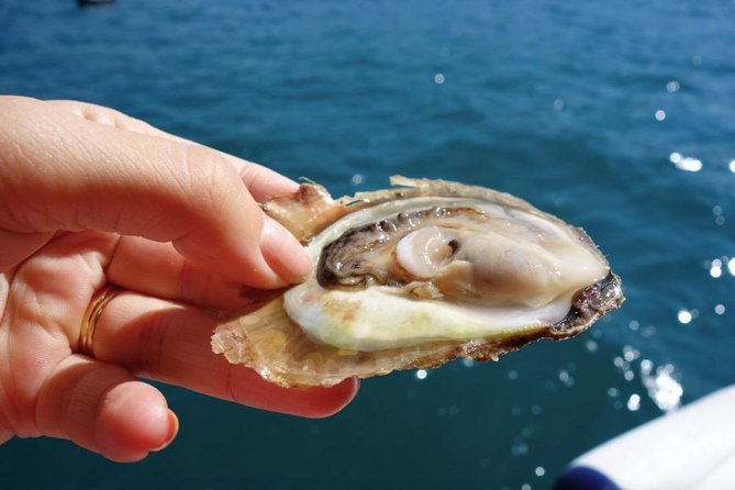 Classic Tour With Wine Tastings From Dubrovnik - Traveler Feedback