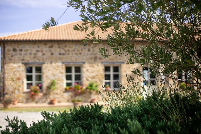 Classic Wine Tasting in Montalcino - The Sum Up