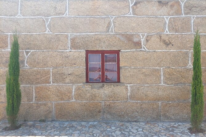 Classic Wine Tasting With GUIDED TOUR - Highlights of the Guided Tour