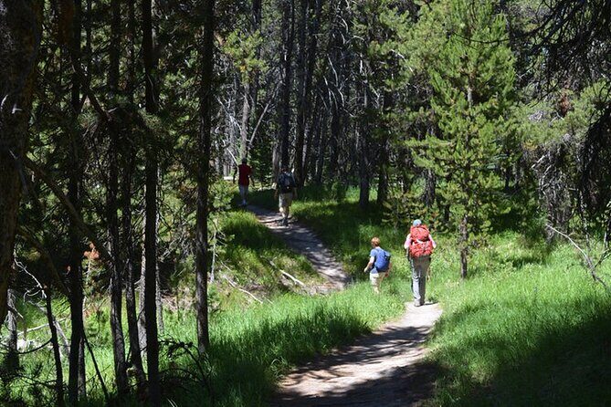 Classic Yellowstone Hike to the Shores of Lake Shoshone (Private - Who Should Consider This Tour?