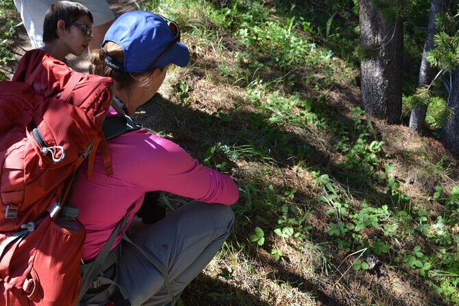 Classic Yellowstone Hike to the Shores of Lake Shoshone (Private - FAQ