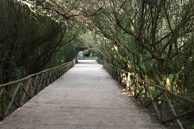 Classical Syracuse - Half Day Guided Tour - Highlights of the Tour