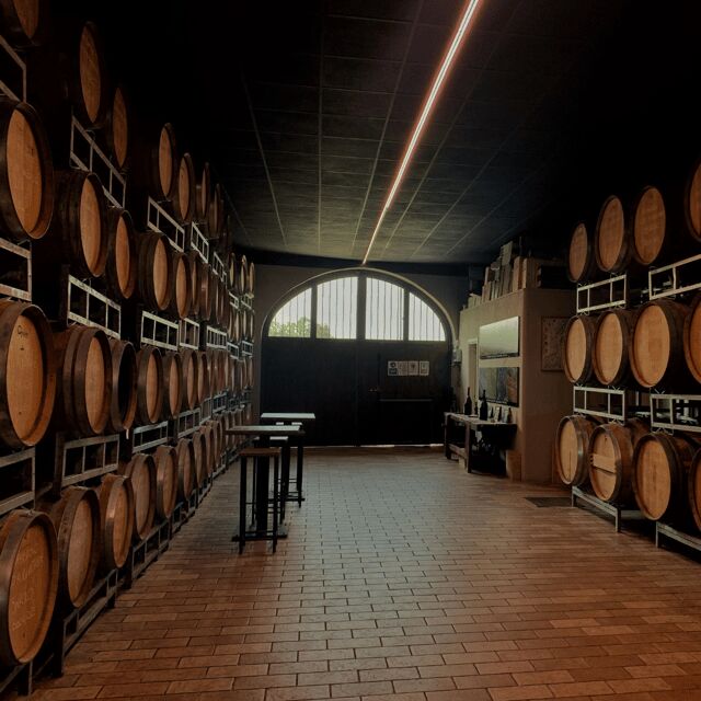 Classical Tasting - A Closer Look at the Classical Tasting Experience in Piedmont