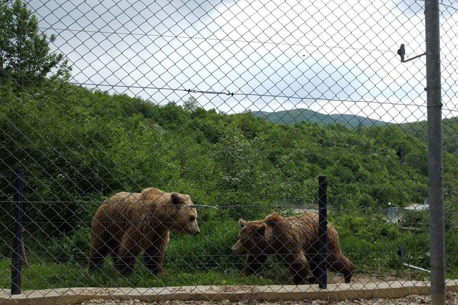 Classical Tour of Kosovo - Final Thoughts