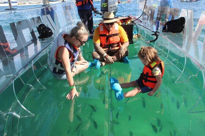 Clear Boat Ride in Los Cabos - A Closer Look at the Experience