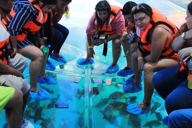 Clear Boat Ride in Los Cabos - Final Thoughts
