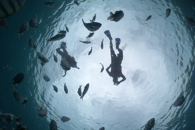 Clear Boat & Snorkel Cozumel Tour with Drinks - A Closer Look at the Itinerary
