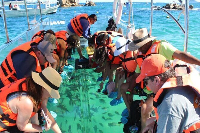 Clear Boat Tour in Cabo San Lucas - Why Consider the Clear Boat Tour?