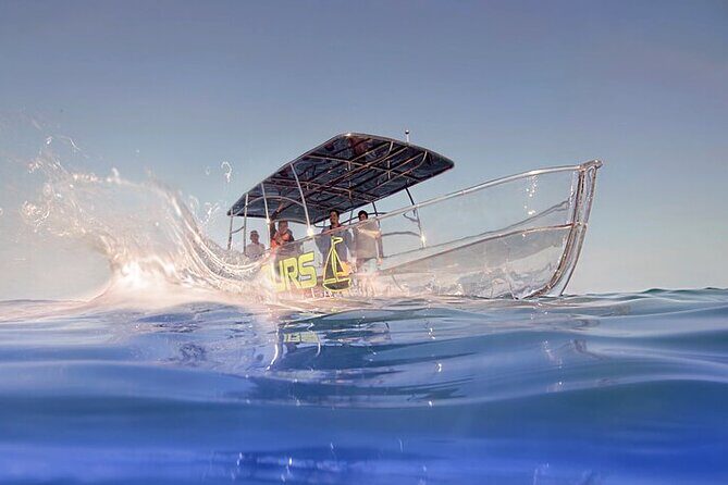 Clear Boat Tour in Cabo San Lucas - The Experience: What Travelers Say