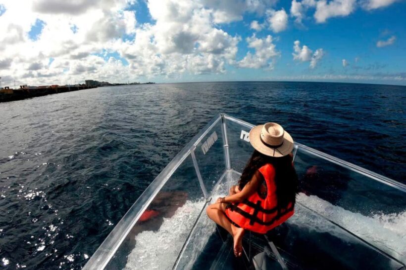 Clear Boat Tour in Cozumel - Accessibility and Practical Tips