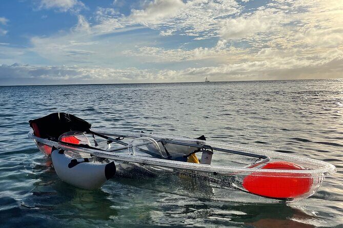 Clear Bottom Glassy Kayak Rental | MAUI | Safe and Stable Kayaks - What to Expect from the Maui Glass Bottom Kayak Rental