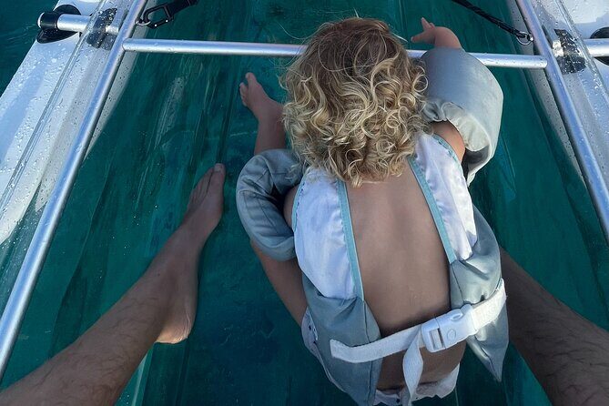 Clear Bottom Glassy Kayak Rental | MAUI | Safe and Stable Kayaks - The Sum Up