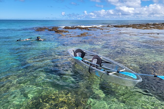 Clear Bottom Kayak - Guaranteed to See Turtles! - The Unique Features of Clear Bottom Kayaks