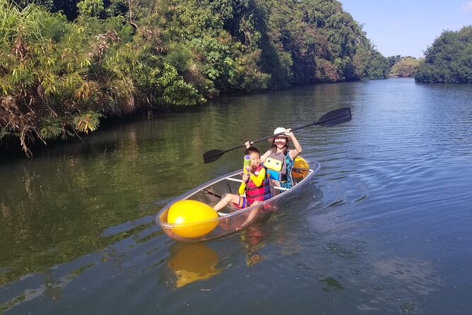 Clear Bottom Kayak - Guaranteed to See Turtles! - Pricing and Booking Information