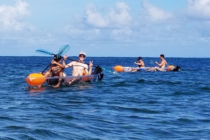 Clear Bottom Kayak - Guaranteed to See Turtles! - Tips for a Memorable Kayaking Experience