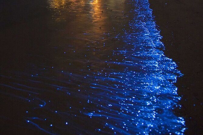 CLEAR BOTTOM KAYAKS Tour in Bioluminescent, Mosquito Bay - Key Points