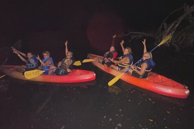 CLEAR BOTTOM KAYAKS Tour in Bioluminescent, Mosquito Bay - Exploring Mosquito Bay: A Natural Wonder in Vieques