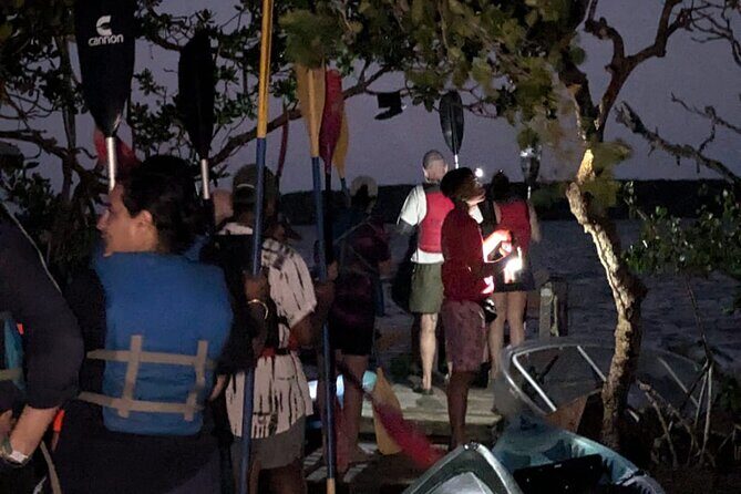 CLEAR BOTTOM KAYAKS Tour in Bioluminescent, Mosquito Bay - Value and Practical Tips