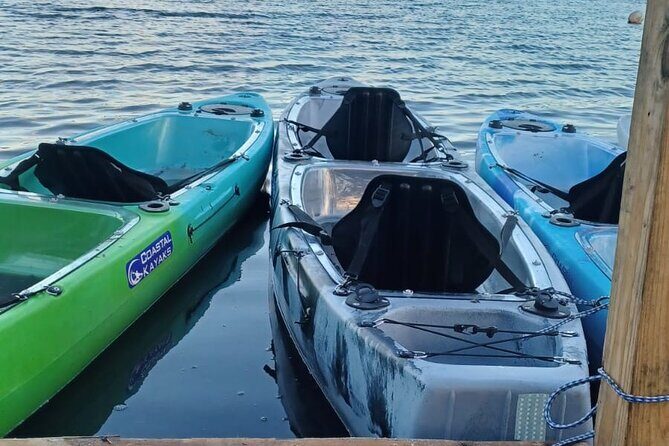 CLEAR BOTTOM KAYAKS Tour in Bioluminescent, Mosquito Bay - Who Will Love This Tour?