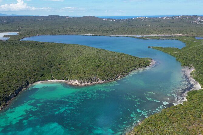 CLEAR BOTTOM KAYAKS Tour in Bioluminescent, Mosquito Bay - FAQ