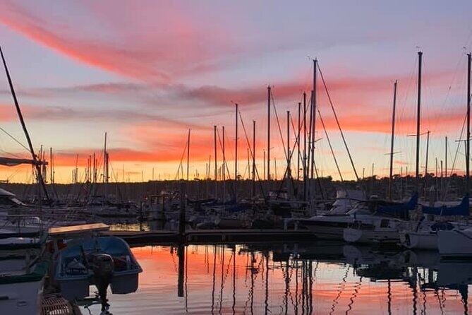 Clear Bottomed Kayak Rentals in San Diego - The Sum Up
