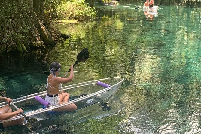 Clear Canoeing and Wildlife Sightseeing at Silver Springs - Who Should Book This?