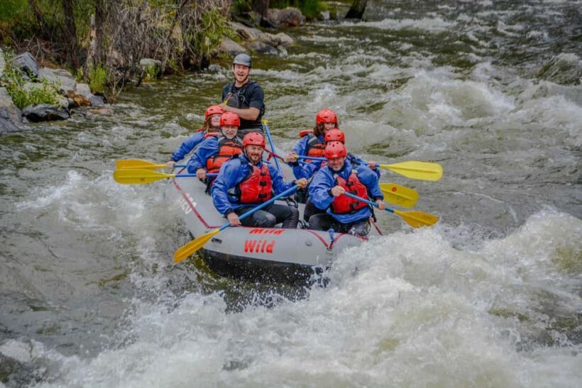 Clear Creek Intermediate 2h 30m Rafting Trip - Denver, CO - Wildlife and Scenic Opportunities