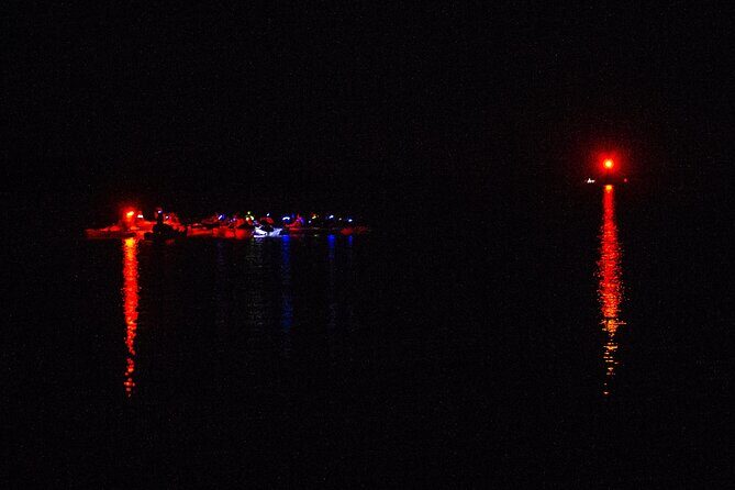 Clear Kayak Bioluminescence Tour - Cocoa Beach - Key Points