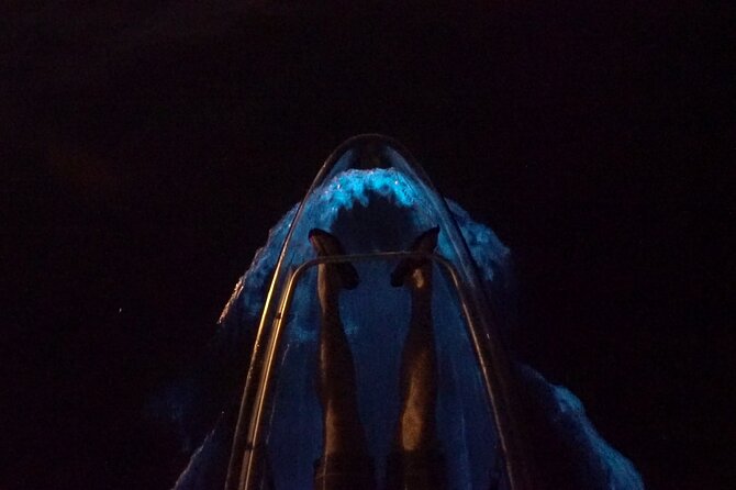 Clear Kayak Bioluminescence Tour - Bioluminescent Phenomenon and Wildlife Sightings