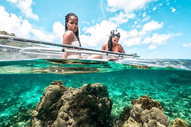 Clear Kayak Coral Reef Tour in Grenada - What Past Participants Say