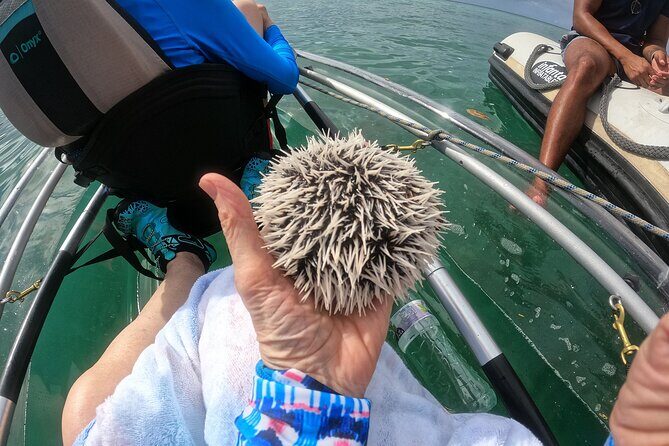 Clear Kayak Coral Reef Tour in Grenada - Final Thoughts