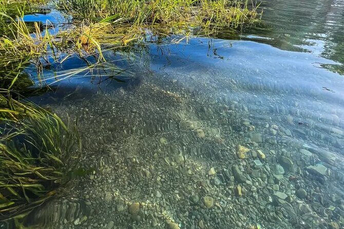Clear Kayak Day Adventure Tour in San Marcos - An In-Depth Look at the San Marcos Clear Kayak Tour