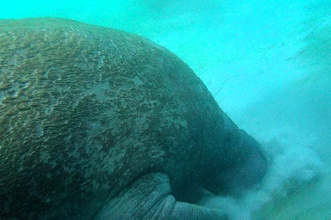 Clear Kayak Eco Tour in Jupiter, Florida - Who Will Enjoy This Tour?