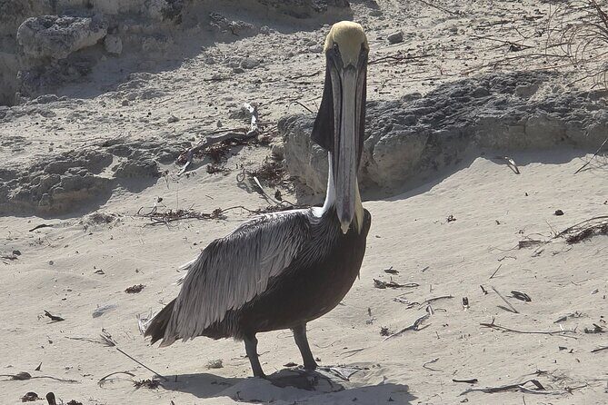 Clear Kayak ECO Tours - What Travelers Say