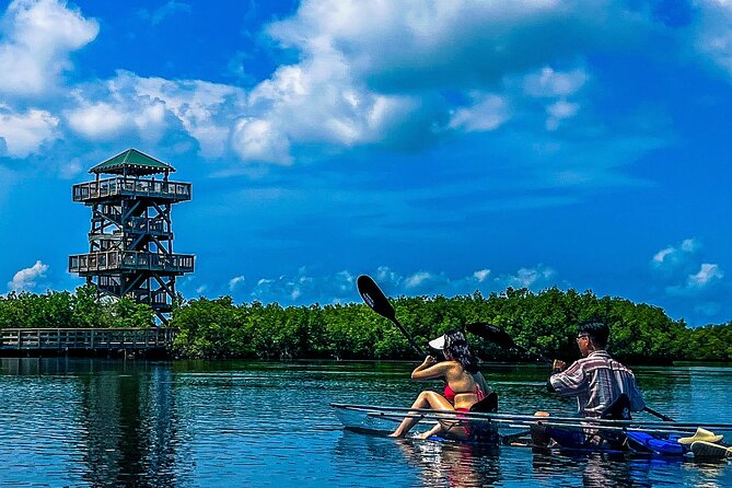 Clear Kayak Ecotour at Robinson Preserve in Bradenton, Florida - Authentic Travel Experiences from Fellow Visitors