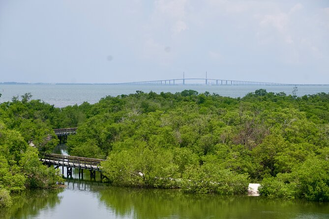 Clear Kayak Ecotour at Robinson Preserve in Bradenton, Florida - Practical Details and Considerations
