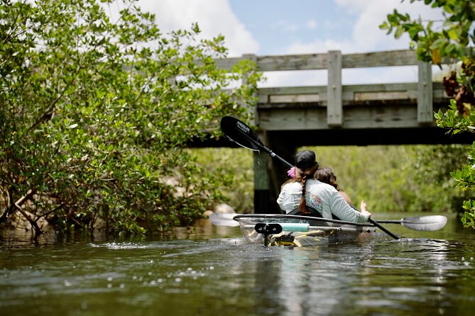 Clear Kayak Ecotour at Robinson Preserve in Bradenton, Florida - Who Should Consider This Tour