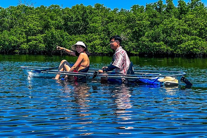 Clear Kayak Ecotour at Robinson Preserve in Bradenton, Florida - Final Thoughts: Is It Worth It?