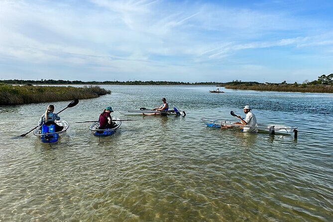 Clear Kayak Ecotour Destin Ft. Walton Beach - Who Should Consider This Tour?